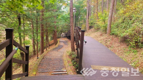 음성군, 누구나 누리는 산림복지 구현 ‘박차’