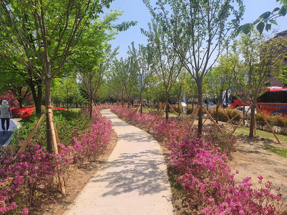 천안 '도시 바람길 숲' 척척 진행 오는 10월 마무리