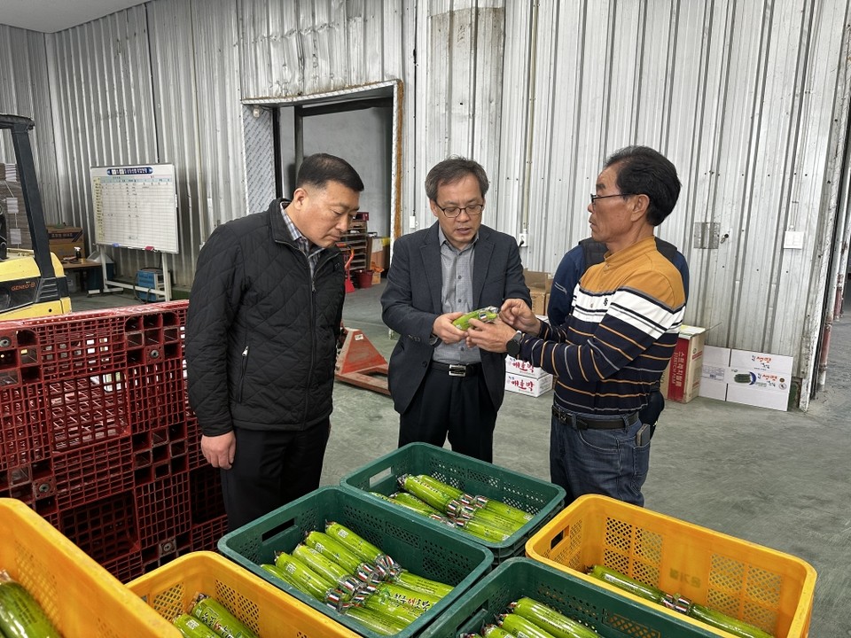 [포토]박원식 청주 흥덕구청장, 애호박 공동선별장 방문 격려