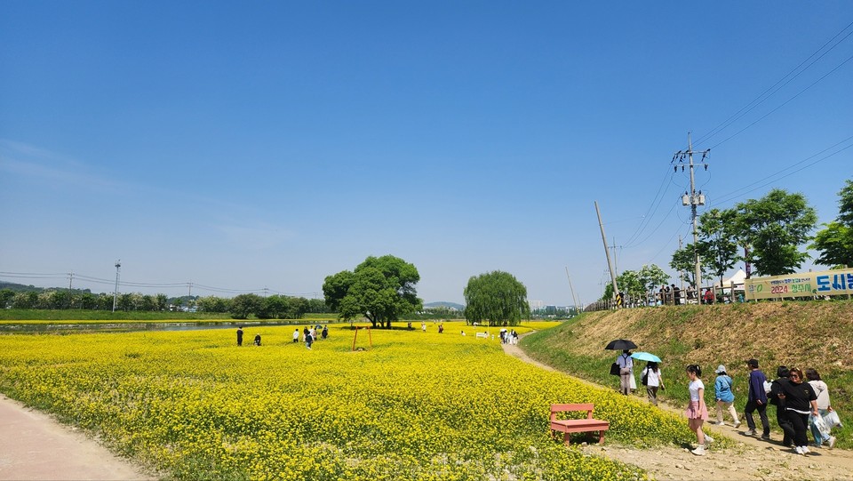 도시농업 페스티벌 북적북적... 자연 속 힐링의 시간 호응