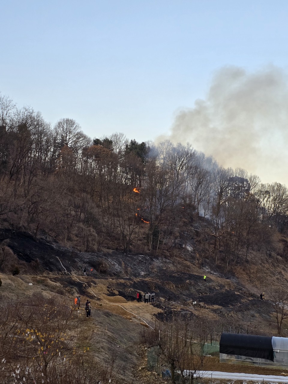 음성군 소이면 야산서 불
